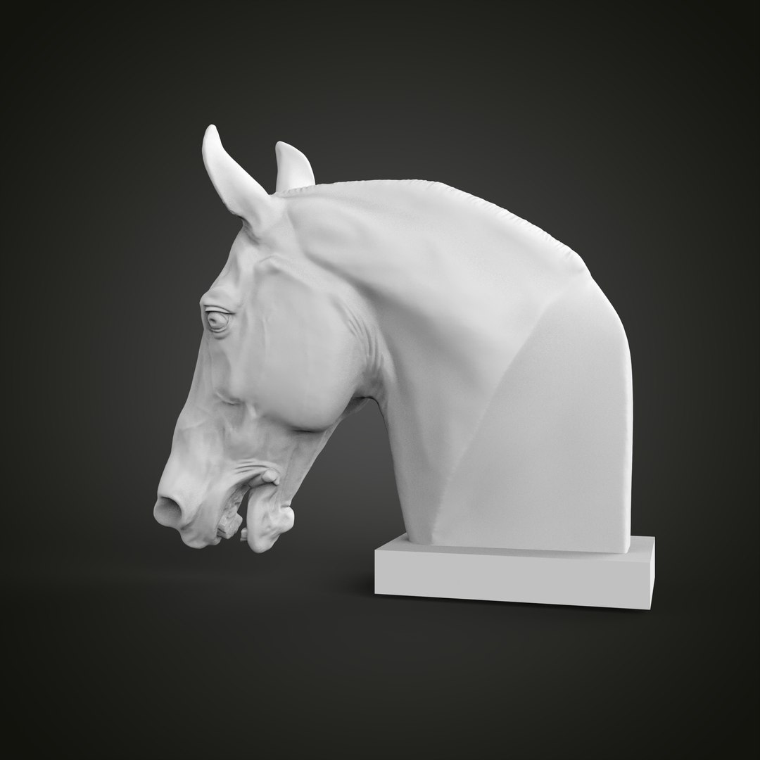 Horse Head 3D Model - TurboSquid 1873068