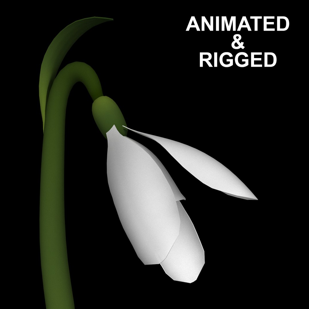 Flowers Open Animation 3D Model - TurboSquid 1589236