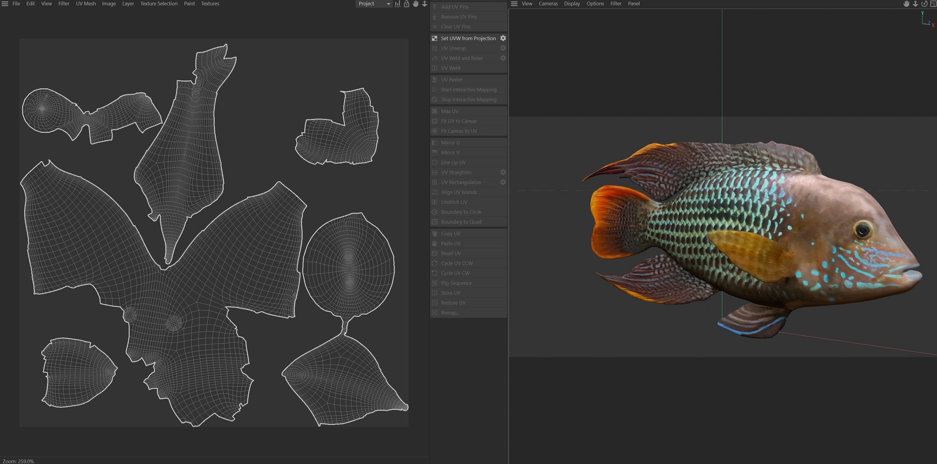 3D Andinoacara Cichlid Fish - TurboSquid 2548370