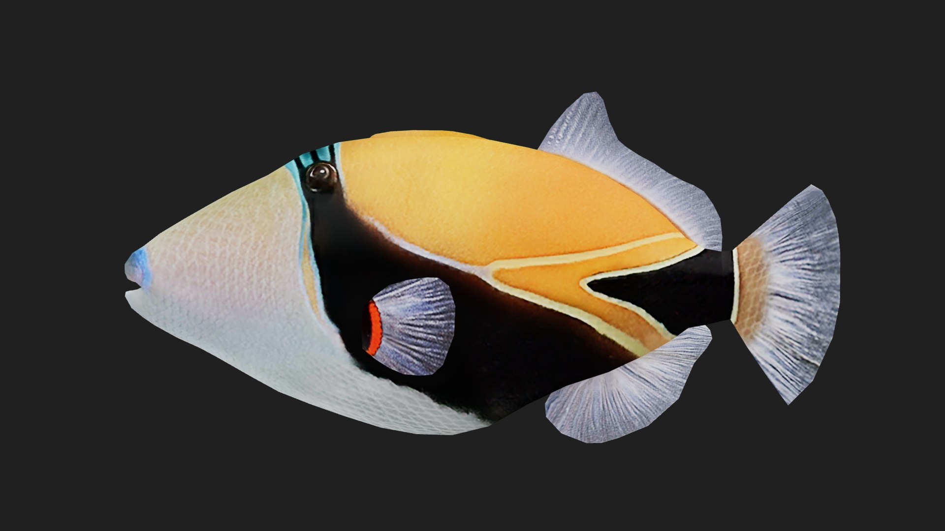 Fish 3D Model - TurboSquid 2122052