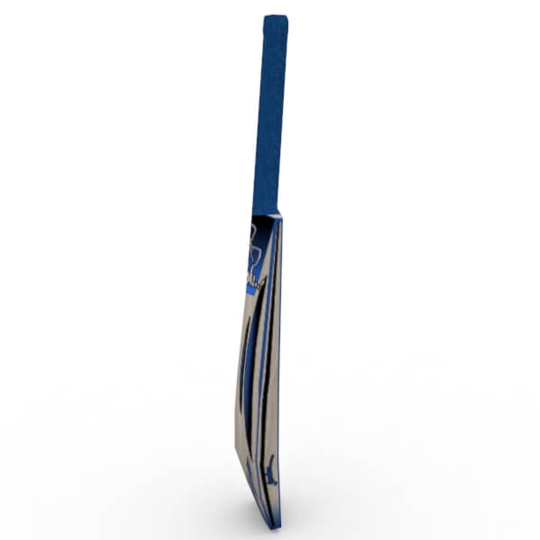 3d Model Of Sports Cricket Bat