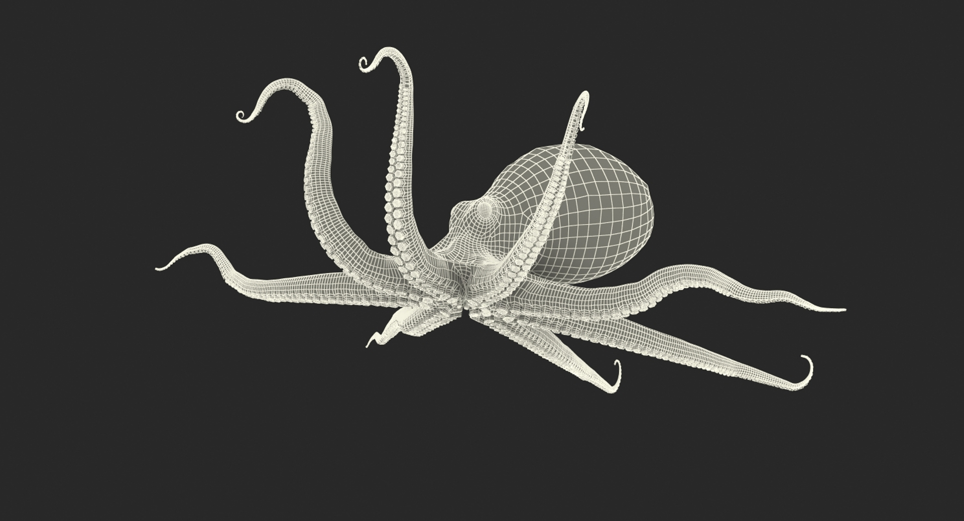 Octopus Crawling 3d 3ds