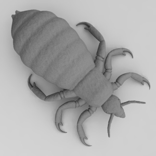 Louse 3D Models for Download | TurboSquid