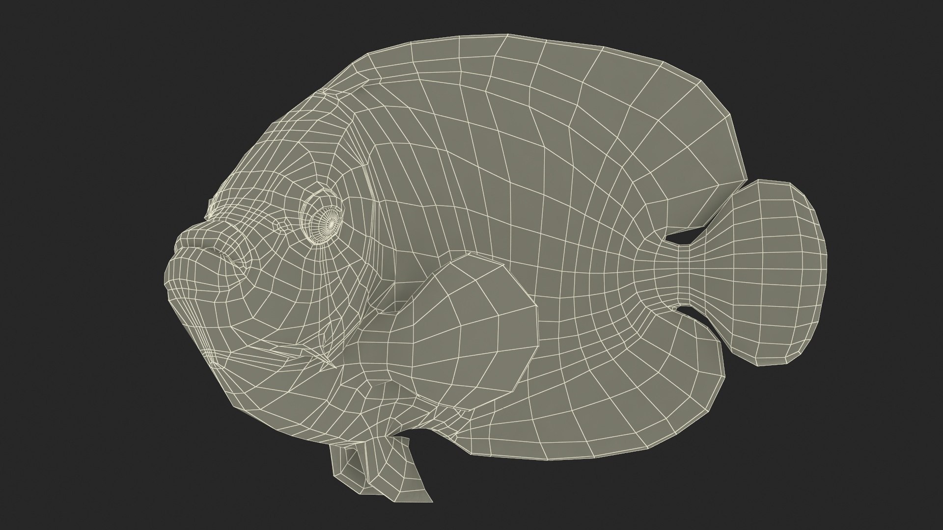 3D Coral Fishes Collection - TurboSquid 2299527