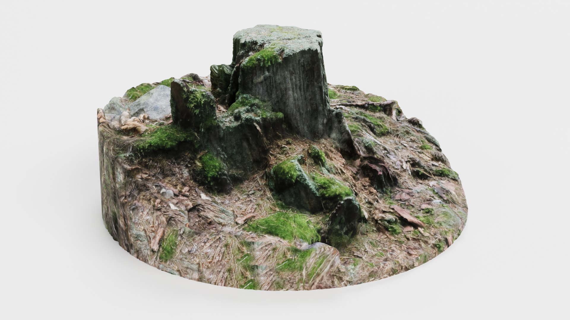 3D Stump Model - TurboSquid 2274429