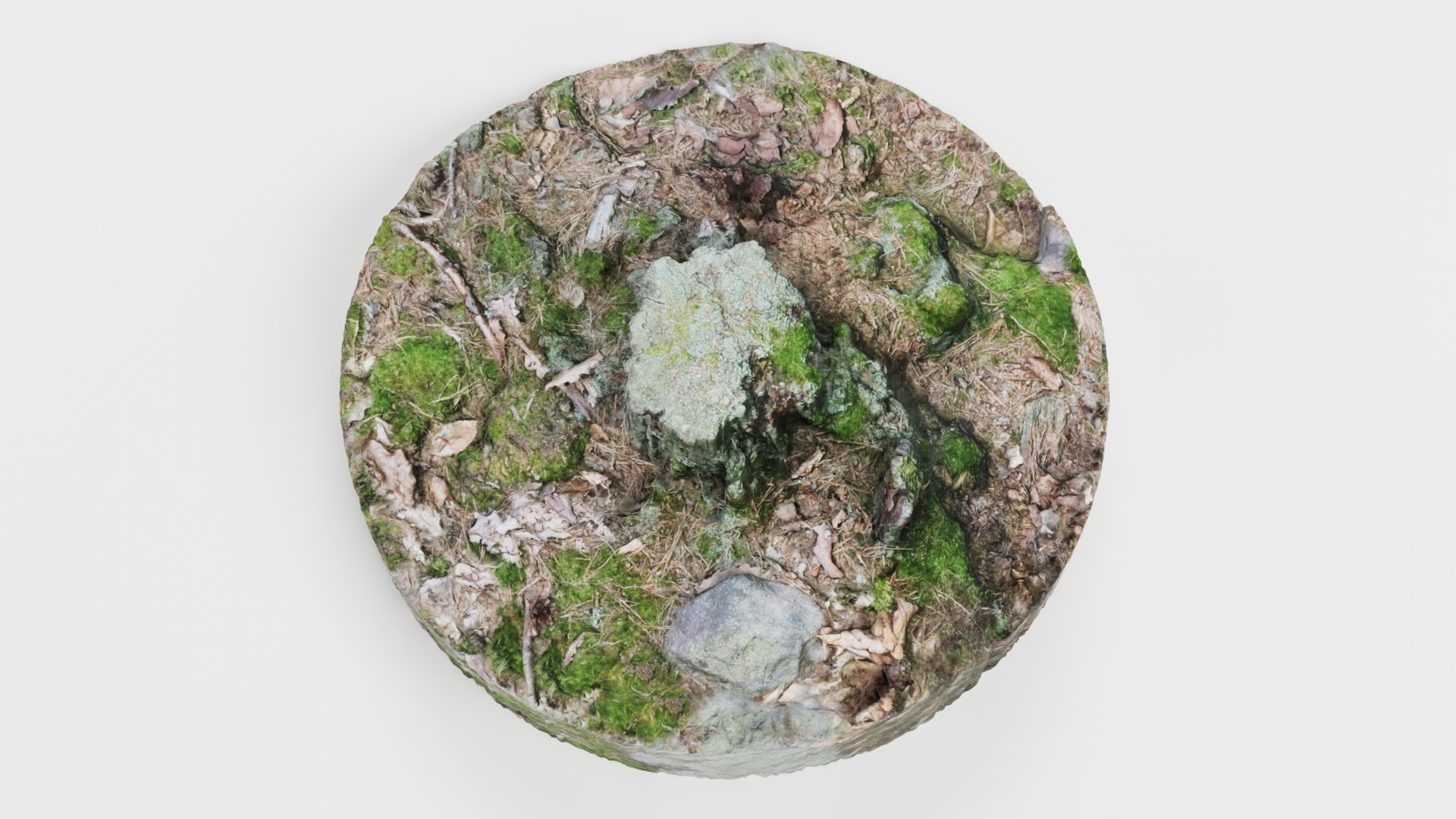 3D Stump Model - TurboSquid 2274429