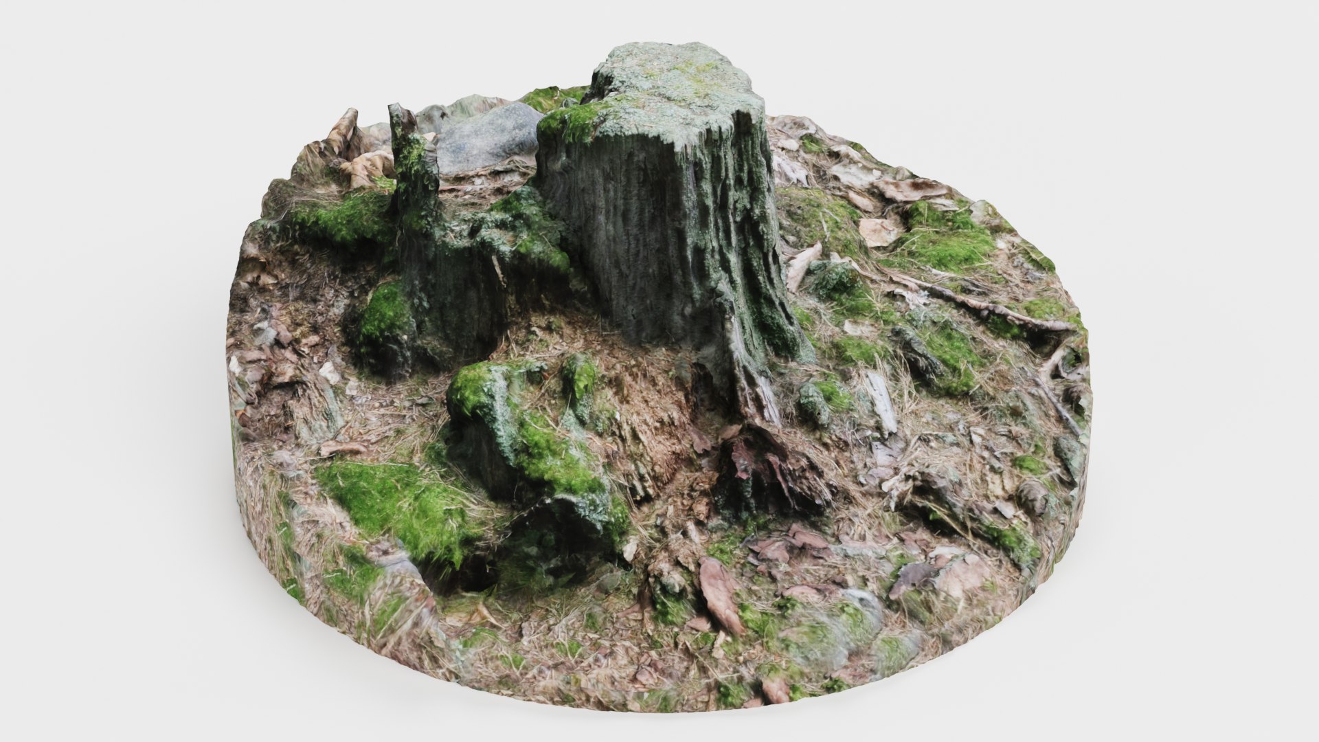 3D Stump Model - TurboSquid 2274429