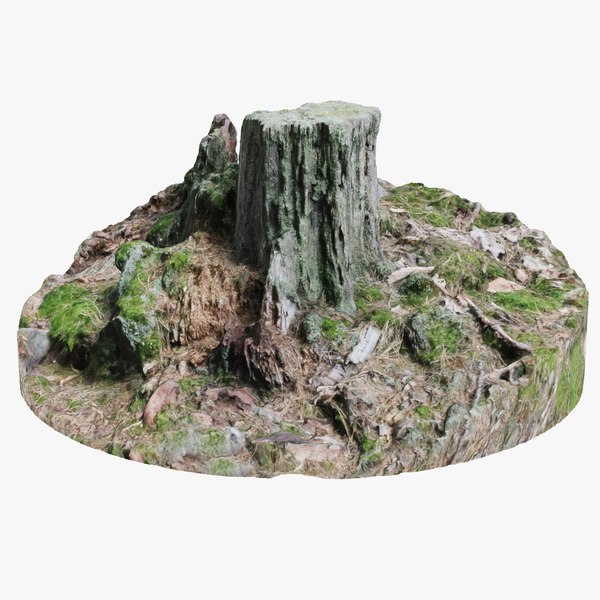 Tree Stump 3D Models for Download | TurboSquid