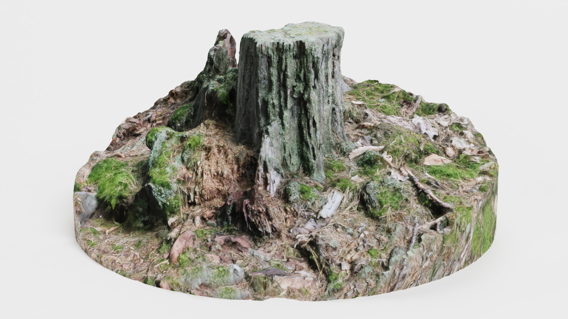 3D Stump Model - TurboSquid 2274429