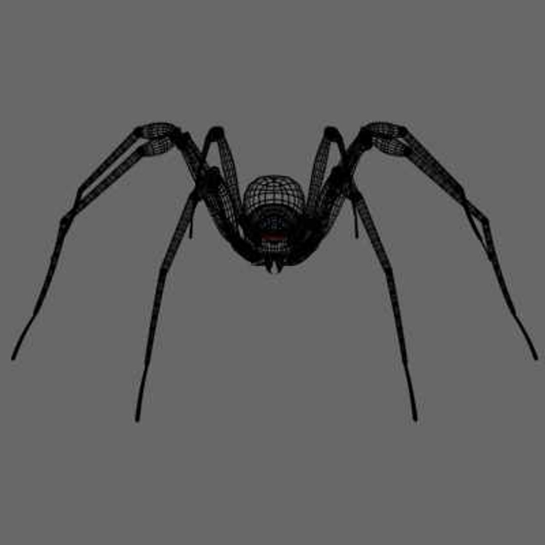 Imagination Spiders 3d Model