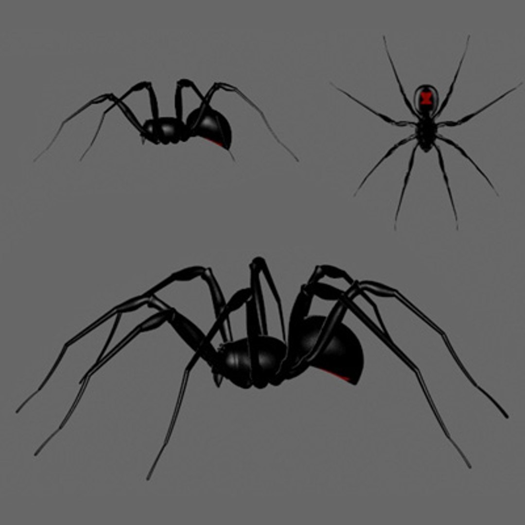 Imagination Spiders 3d Model