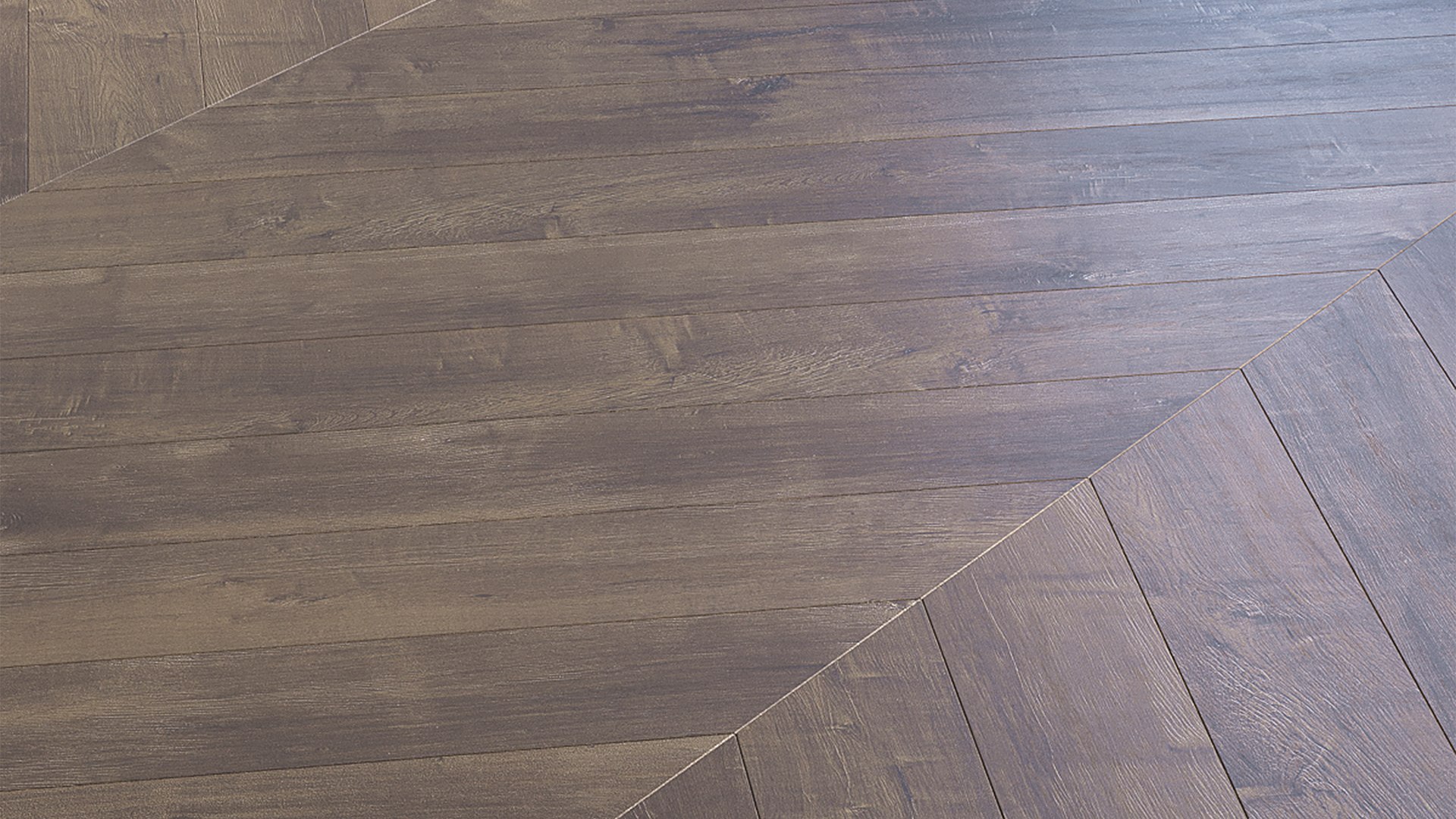 3D Marple Carob Model - TurboSquid 2224143