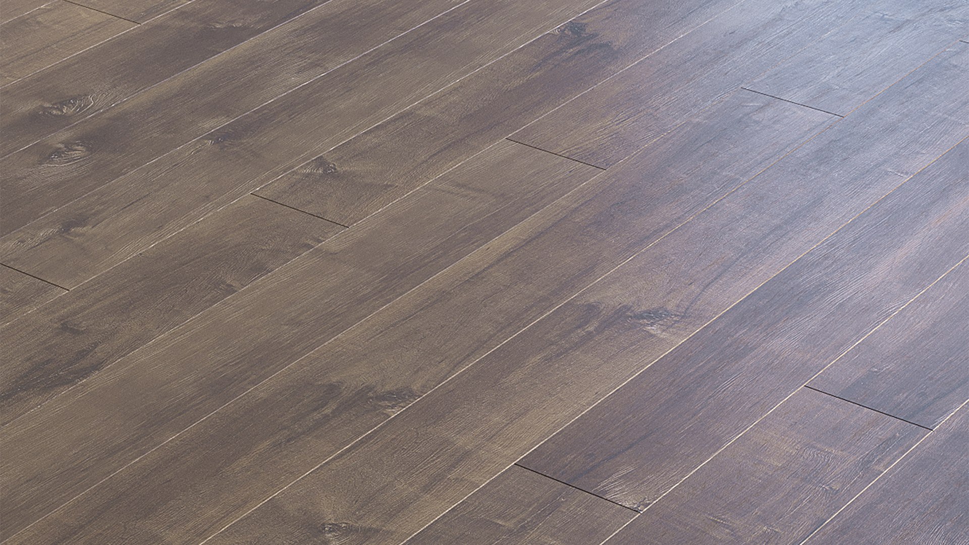 3D Marple Carob Model - TurboSquid 2224143