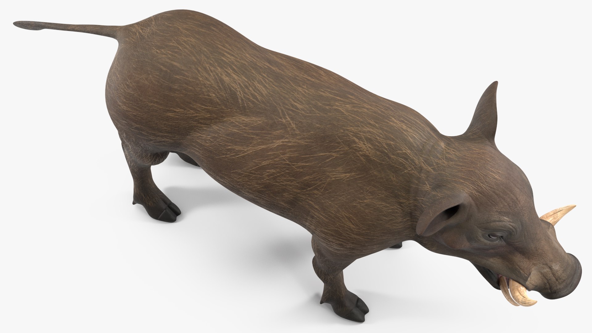 3D Model Southern Warthog Rigged - TurboSquid 2214576