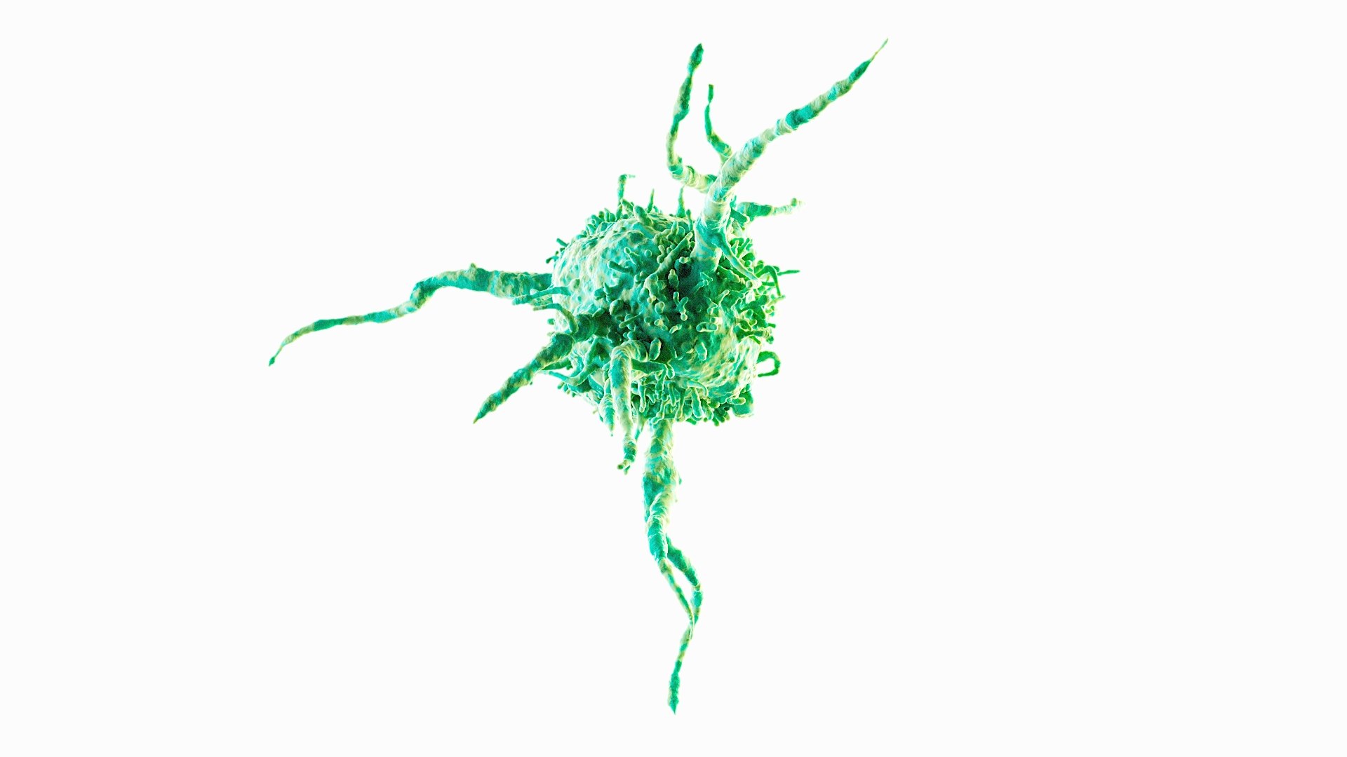 Stem Cell Green Model - TurboSquid 2254020