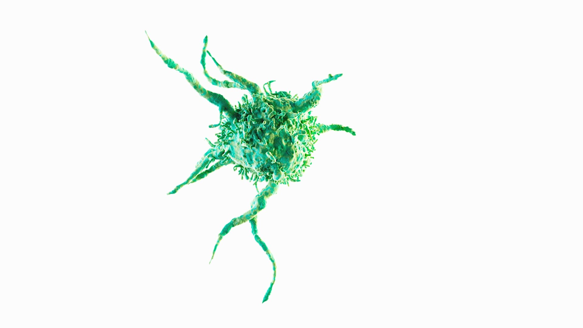 Stem Cell Green Model - TurboSquid 2254020