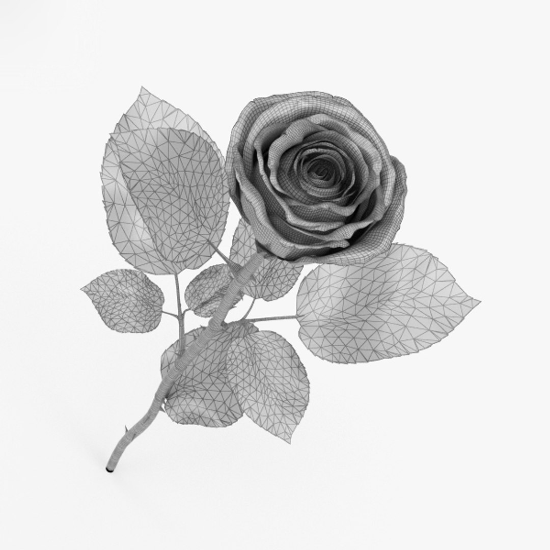 Rose Rosa Flowers 3D Model - TurboSquid 1394512