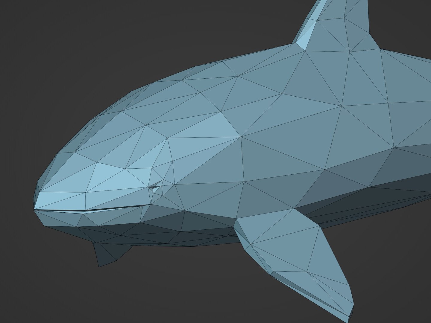 3D Model LowPoly Killer Whale - TurboSquid 1949268