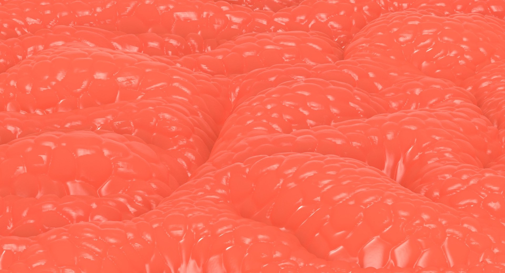 Stomach Lining 3D Model - TurboSquid 1348678