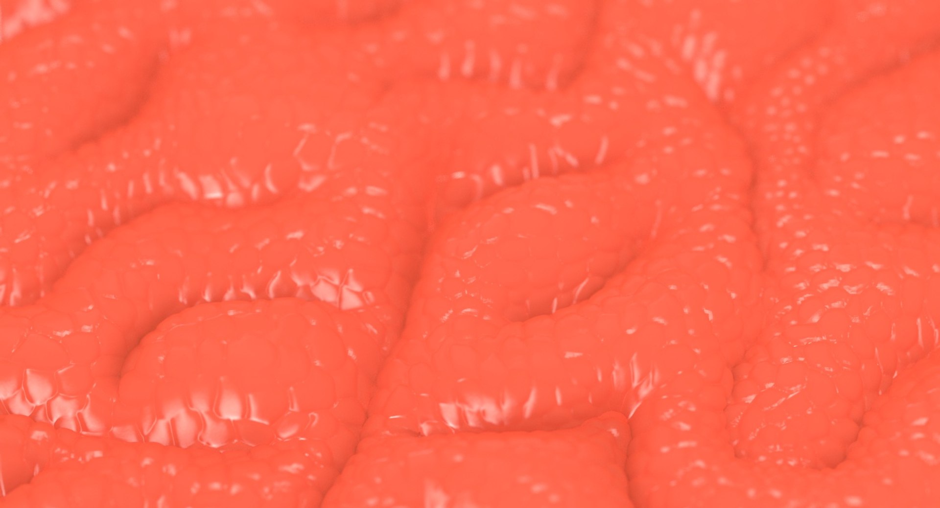 Stomach Lining 3D Model - TurboSquid 1348678