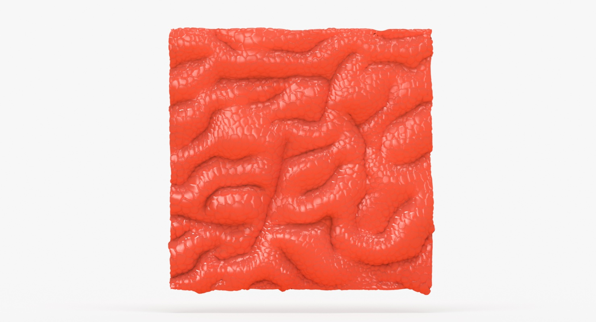 Stomach Lining 3D Model - TurboSquid 1348678