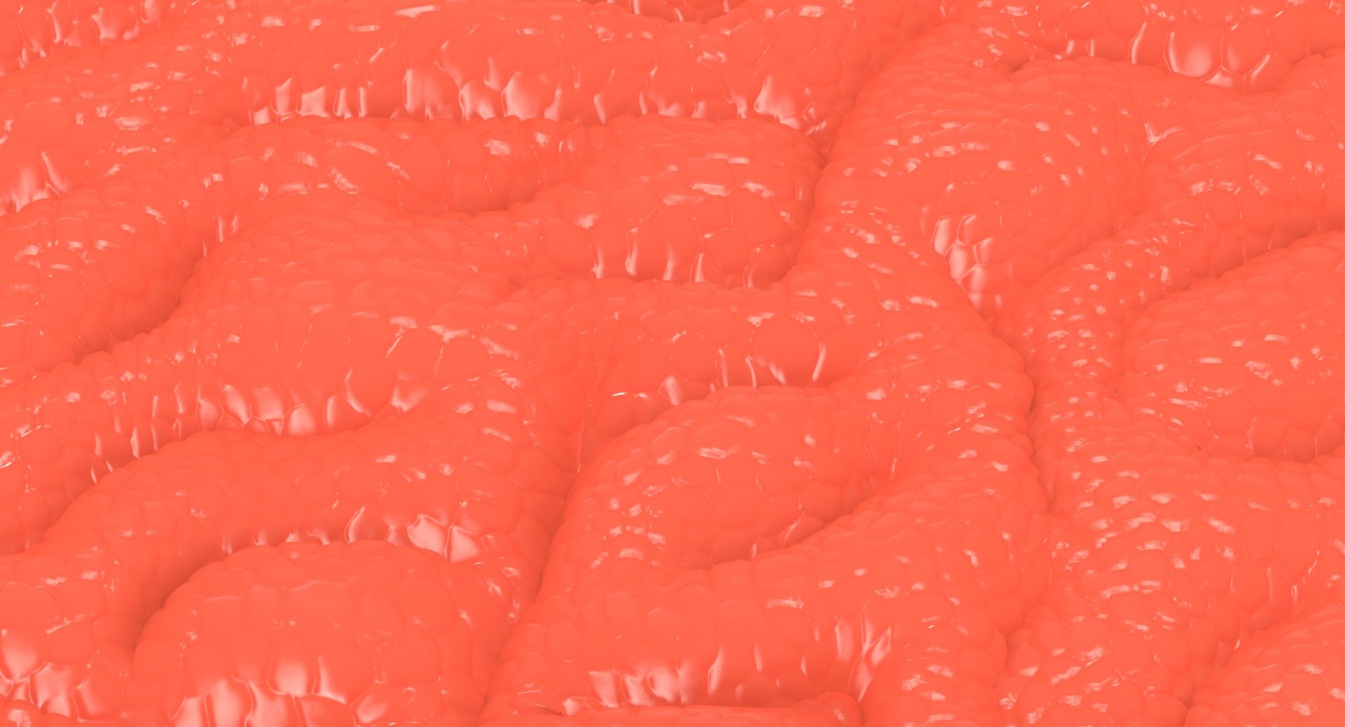 Stomach Lining 3D Model - TurboSquid 1348678