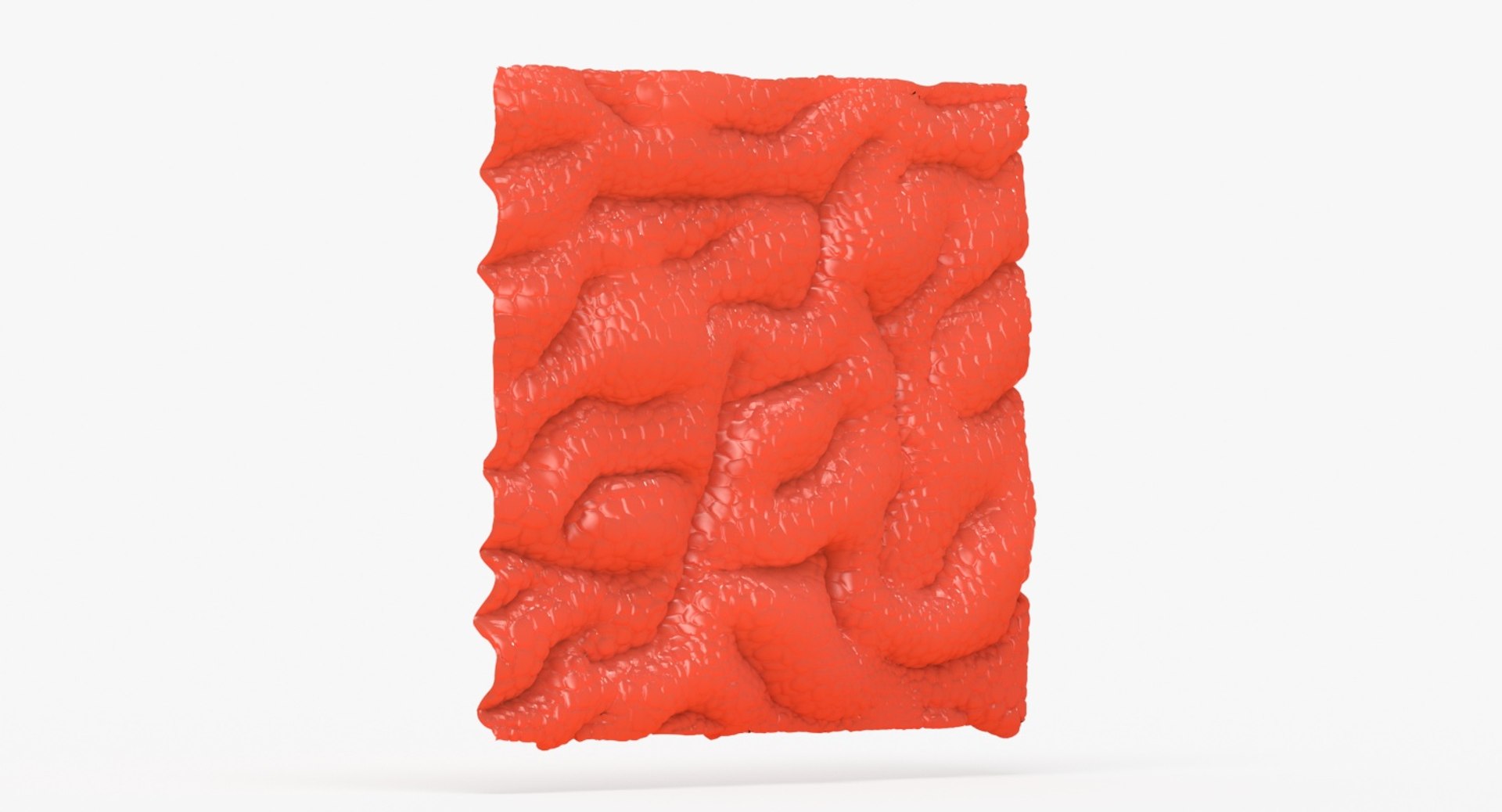 Stomach Lining 3D Model - TurboSquid 1348678