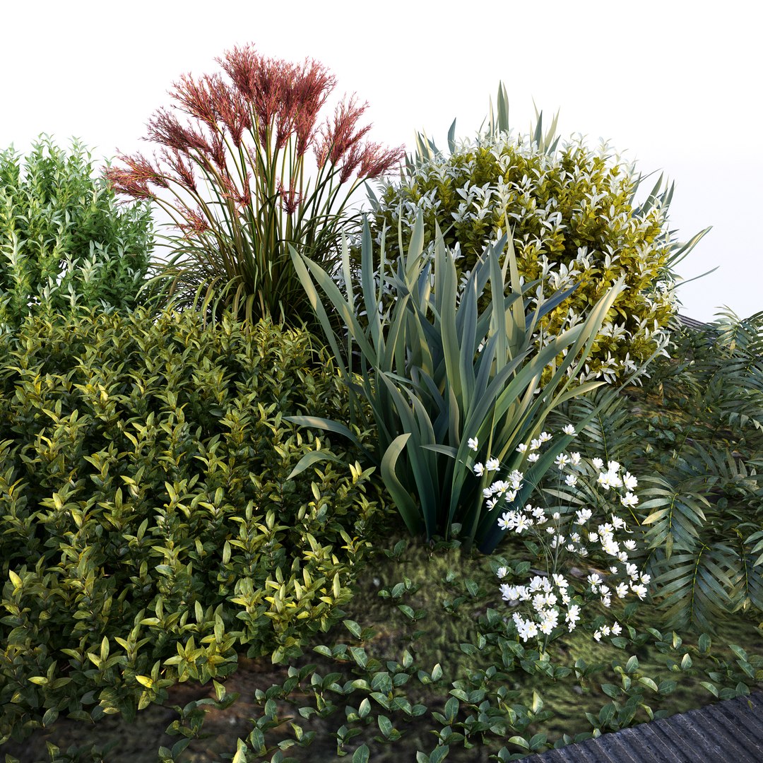 Group Plants With Resting Area Model - TurboSquid 2019881