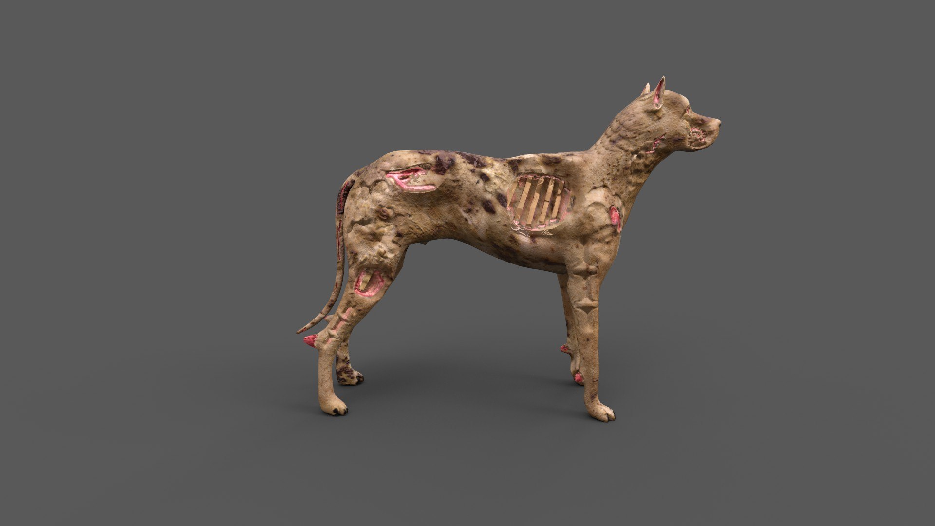 3D zombie dog - TurboSquid 1907214