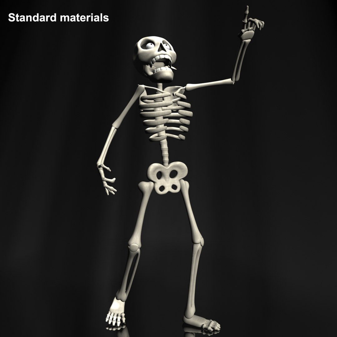 3d 3ds Cartoon Skeleton Rigged