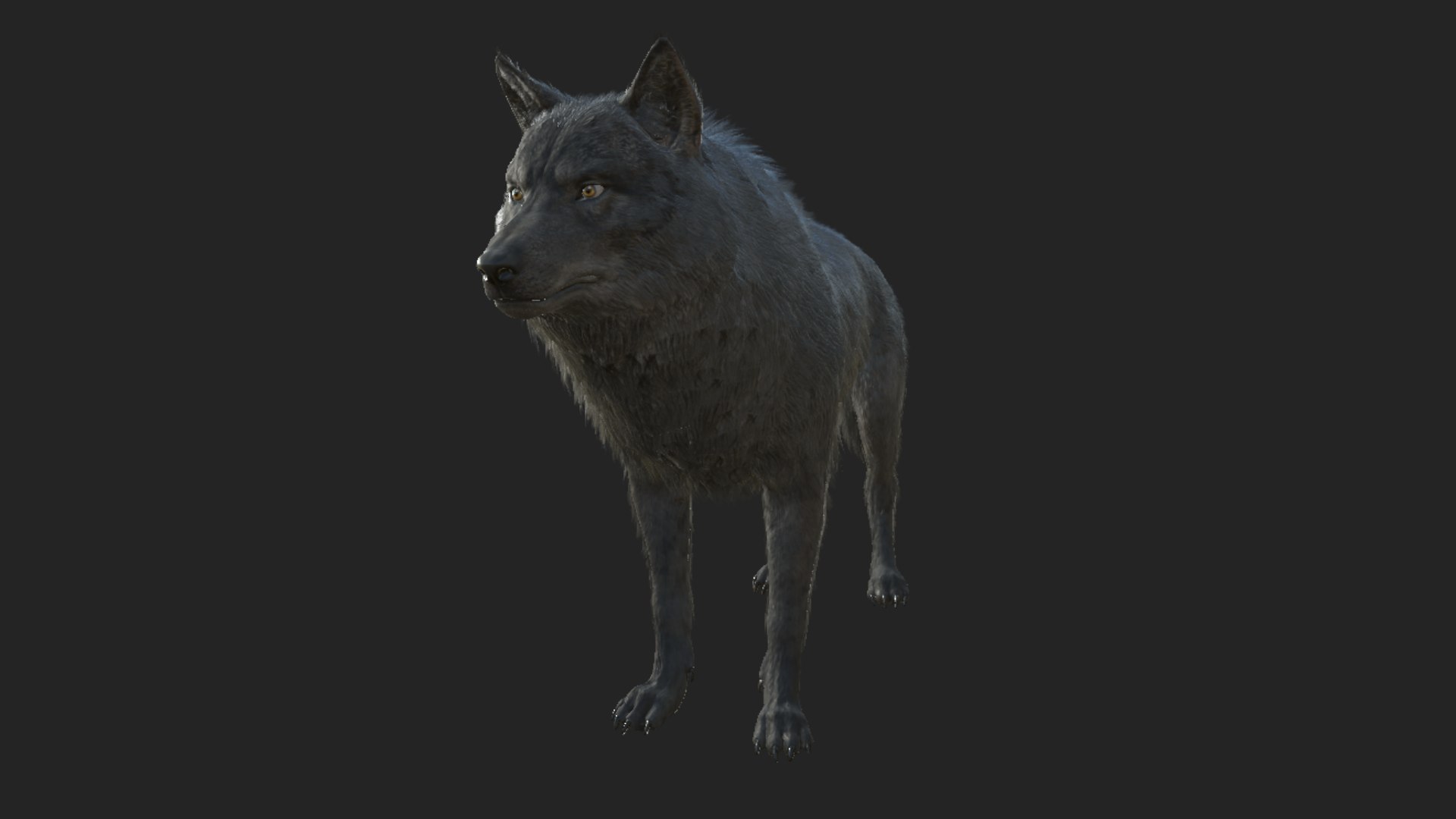 3D Lobo - TurboSquid 1953784