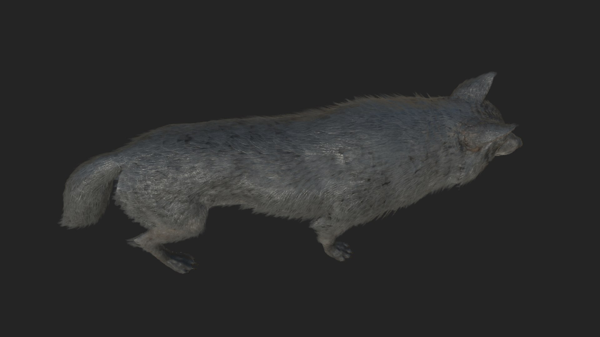 3D Lobo - TurboSquid 1953784