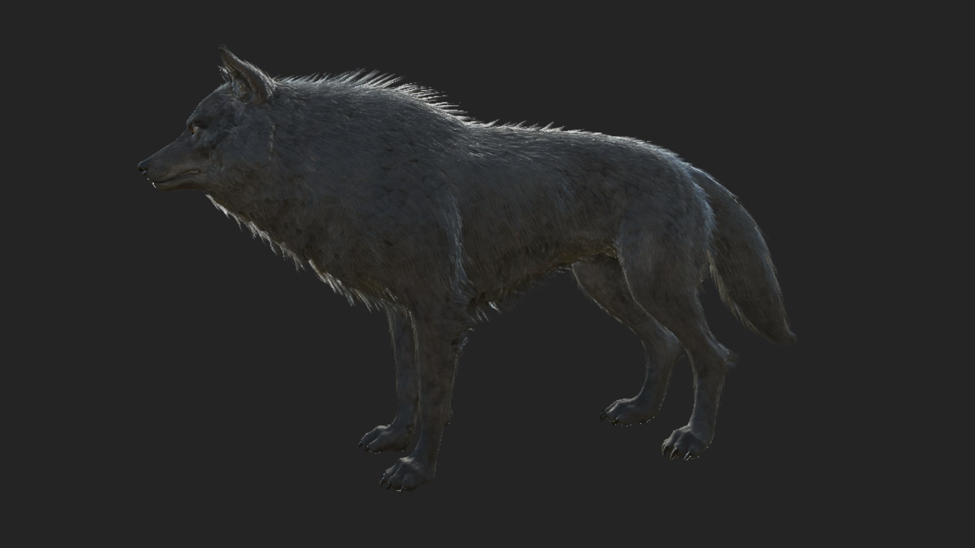 3D Lobo - TurboSquid 1953784