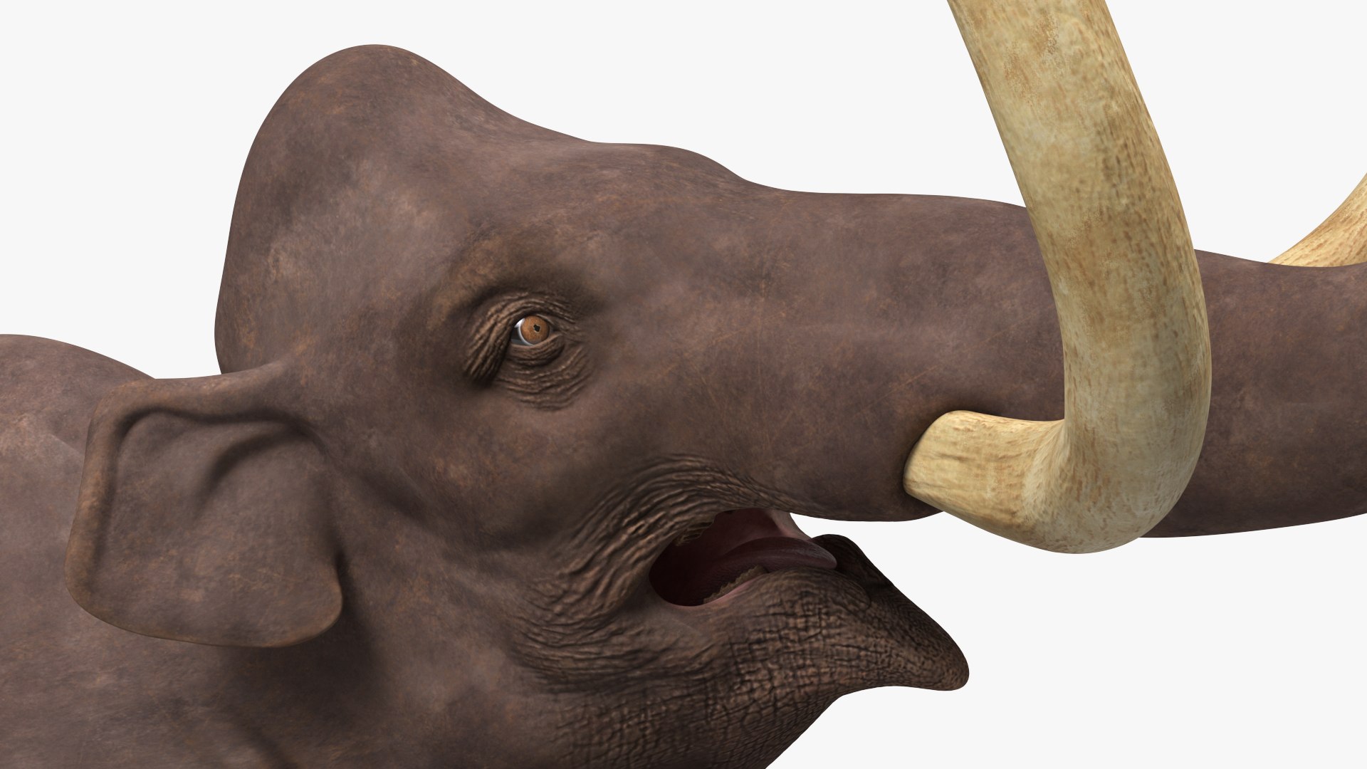 3D model Mammoth Roar Pose - TurboSquid 1803329