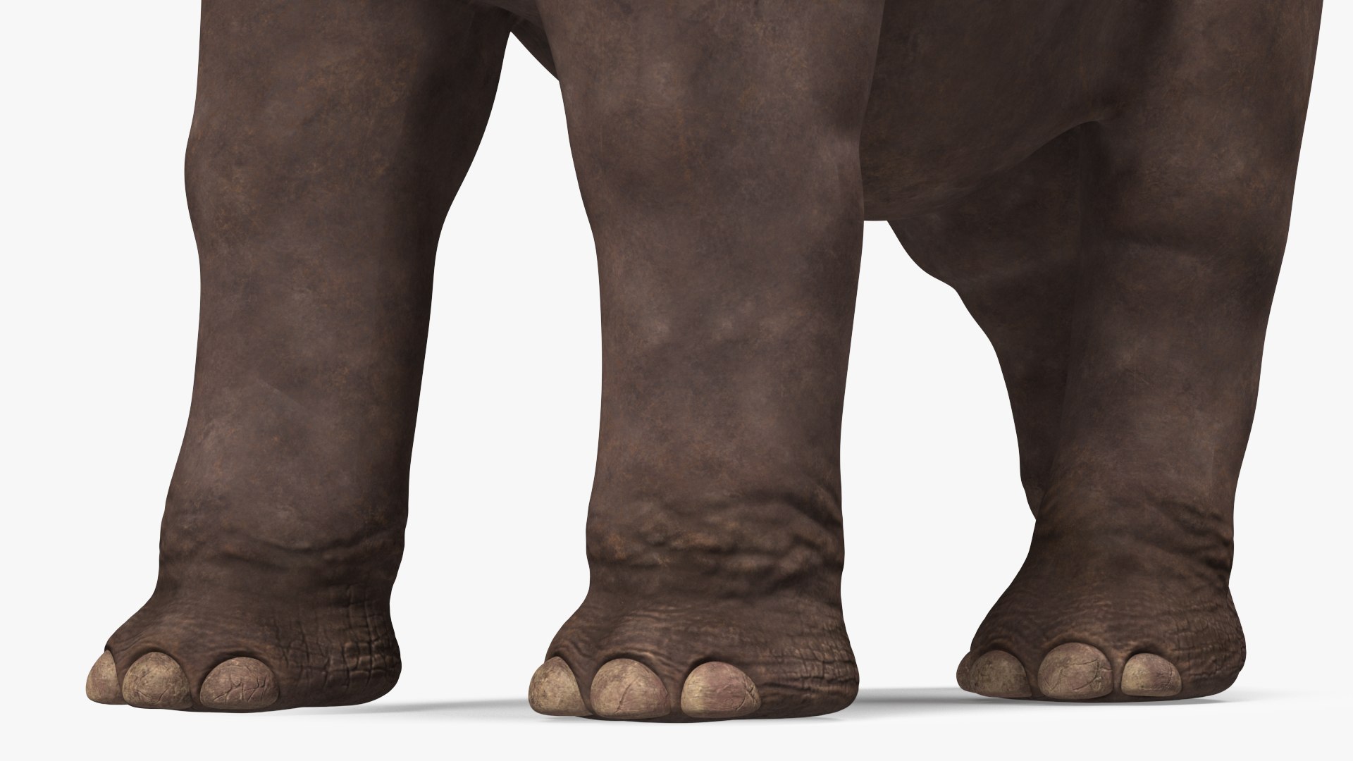 3D model Mammoth Roar Pose - TurboSquid 1803329