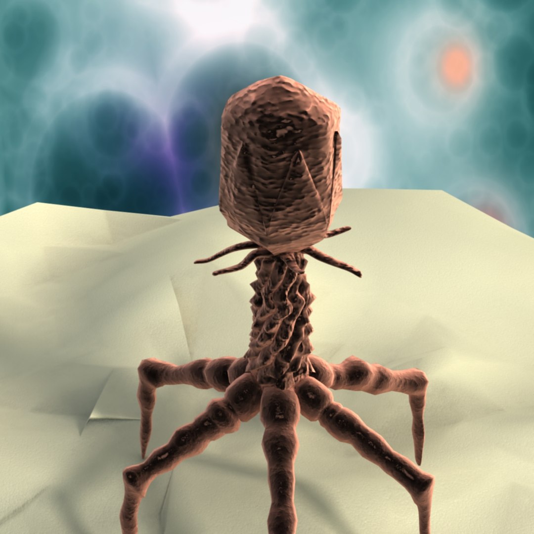 Virus Lightwave 3D Model - TurboSquid 1265378