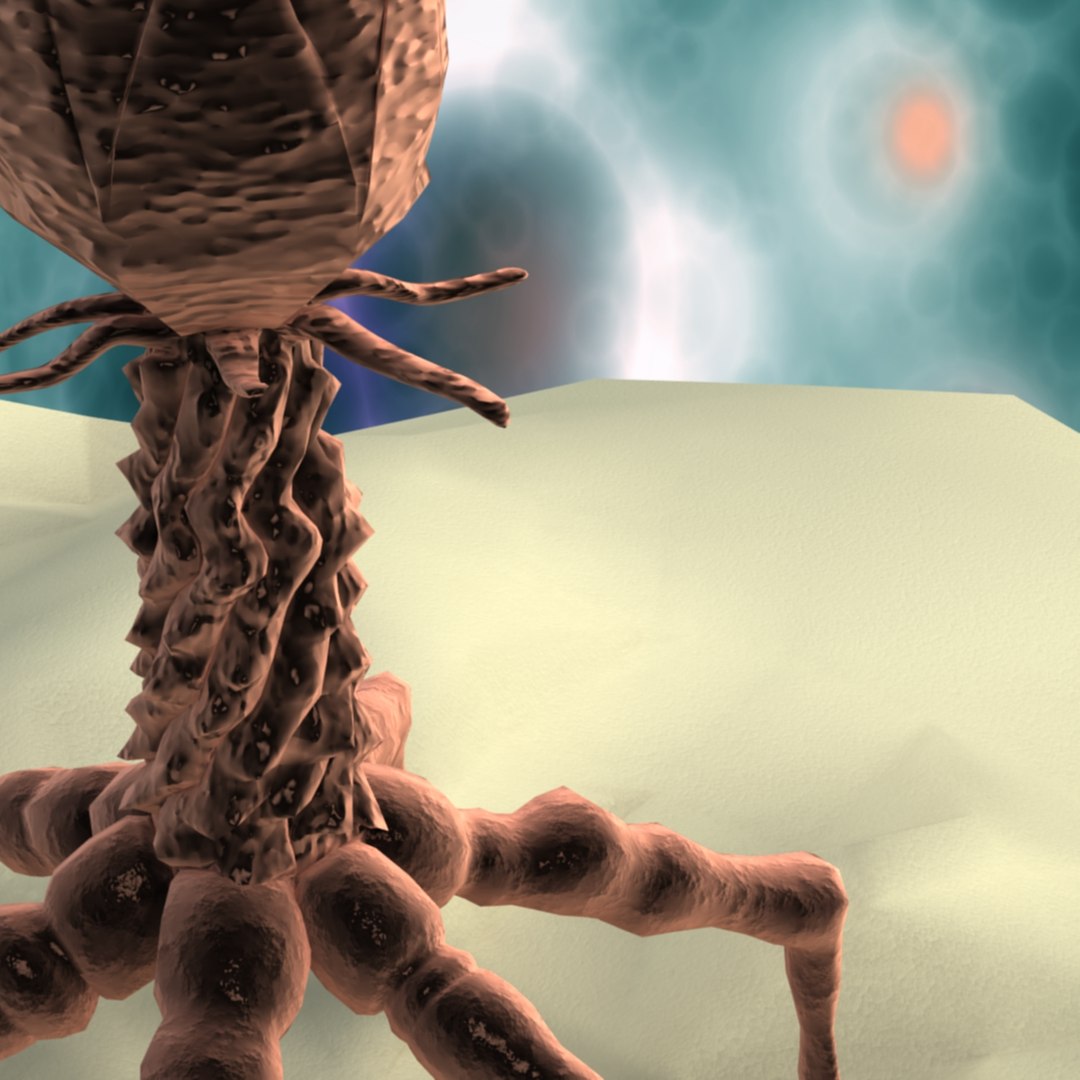 Virus Lightwave 3D Model - TurboSquid 1265378