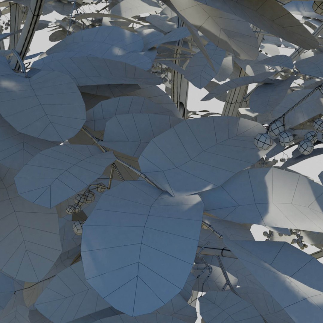 Mountain Ash Tree 3D Model - TurboSquid 1830194