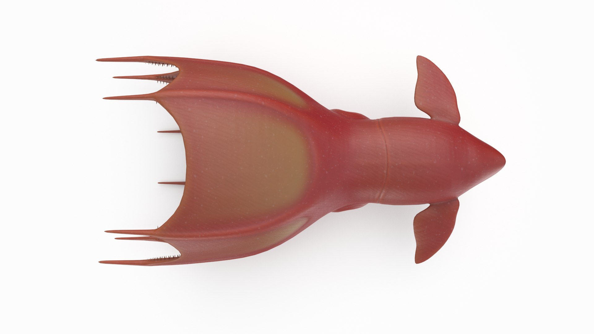 Vampire Squid 3D Model - TurboSquid 1463925