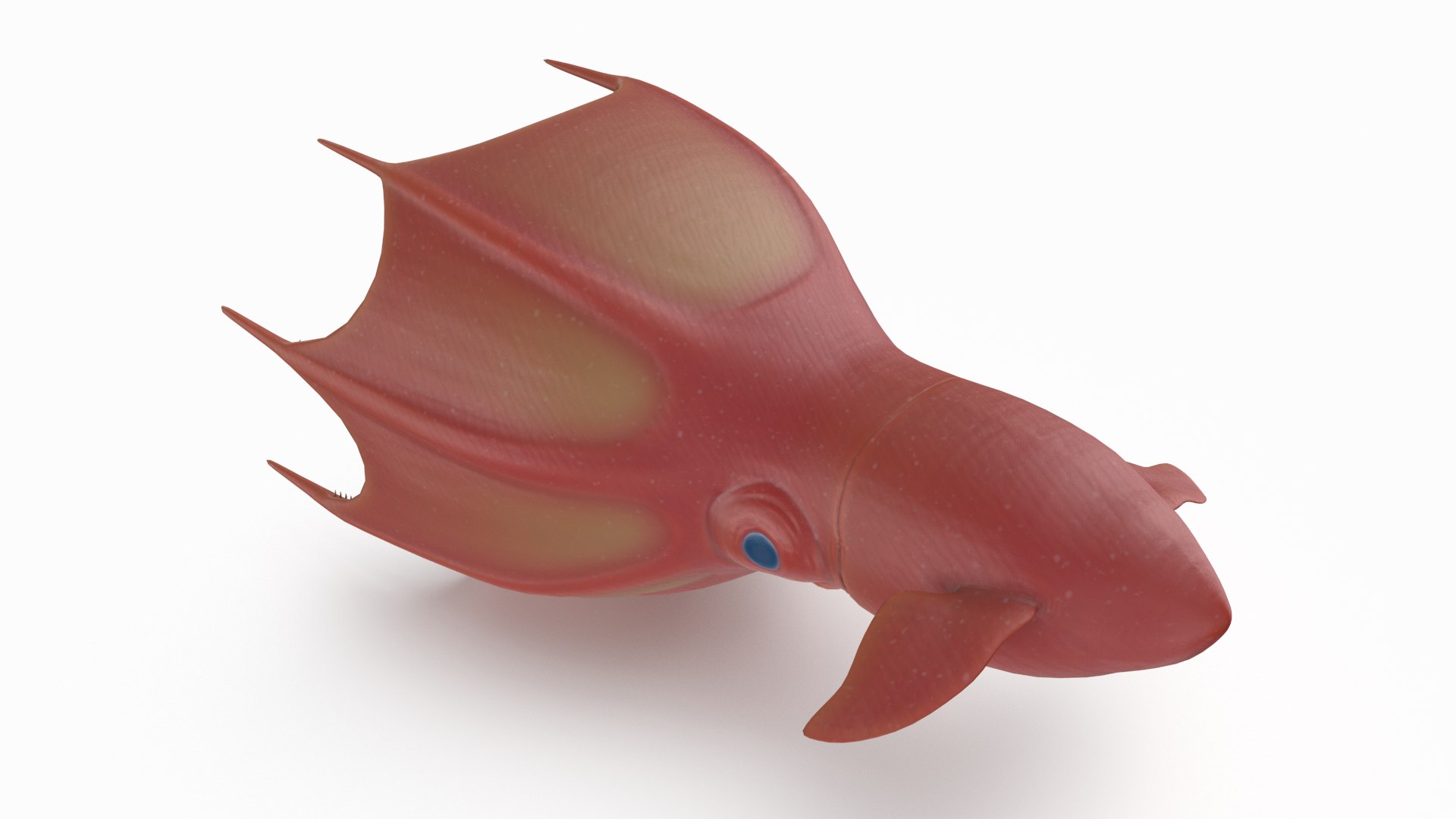 Vampire Squid 3D Model - TurboSquid 1463925