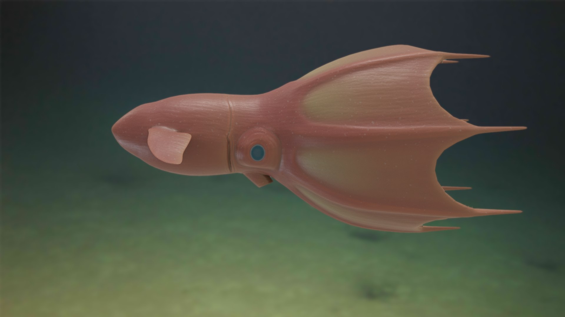Vampire Squid 3D Model - TurboSquid 1463925