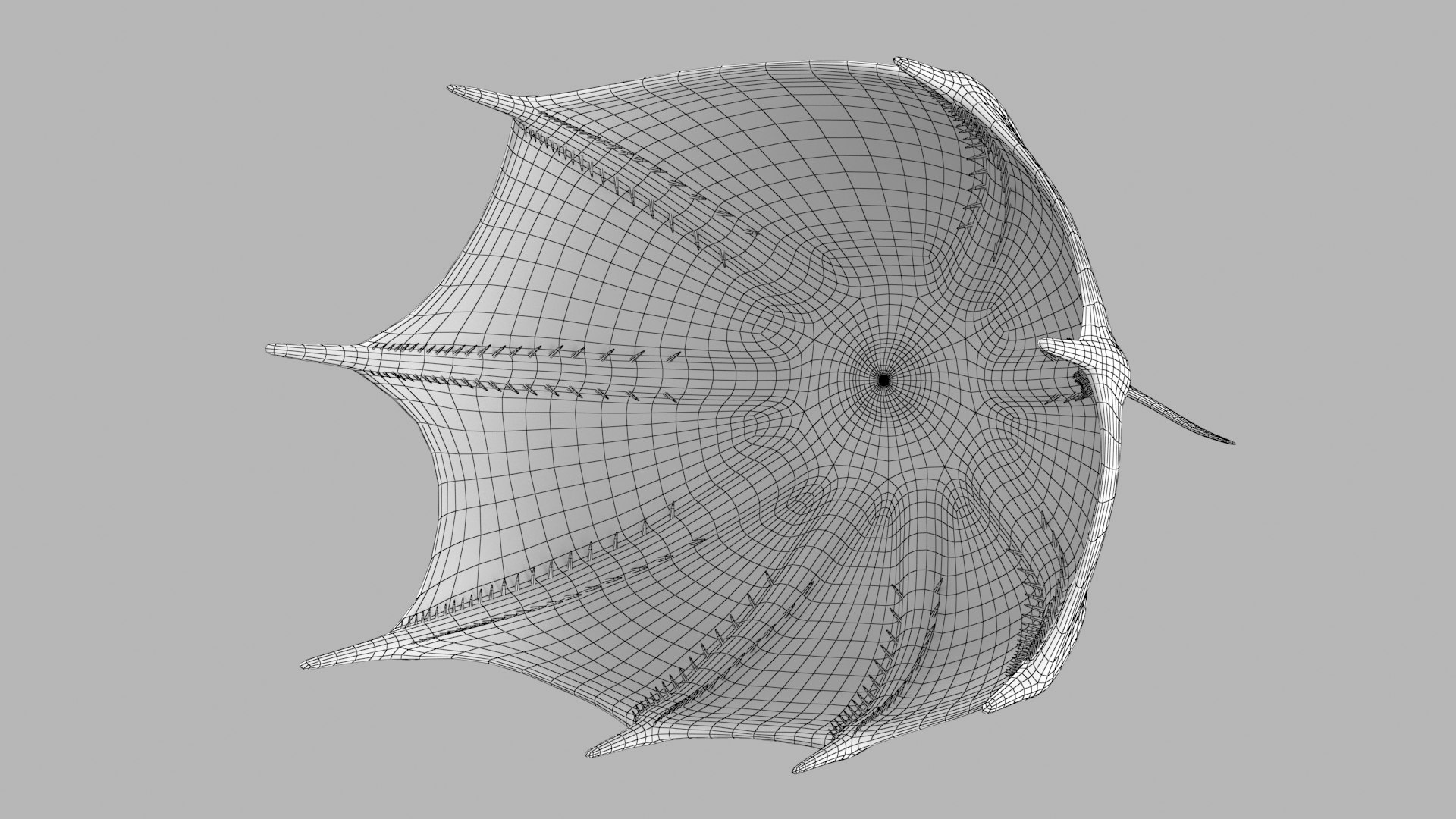 Vampire Squid 3D Model - TurboSquid 1463925