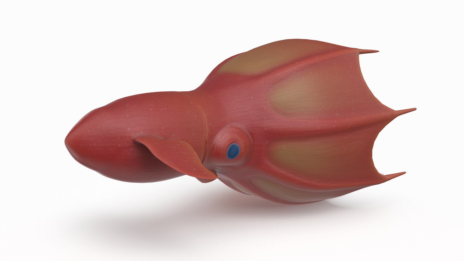 Vampire Squid 3D Model - TurboSquid 1463925