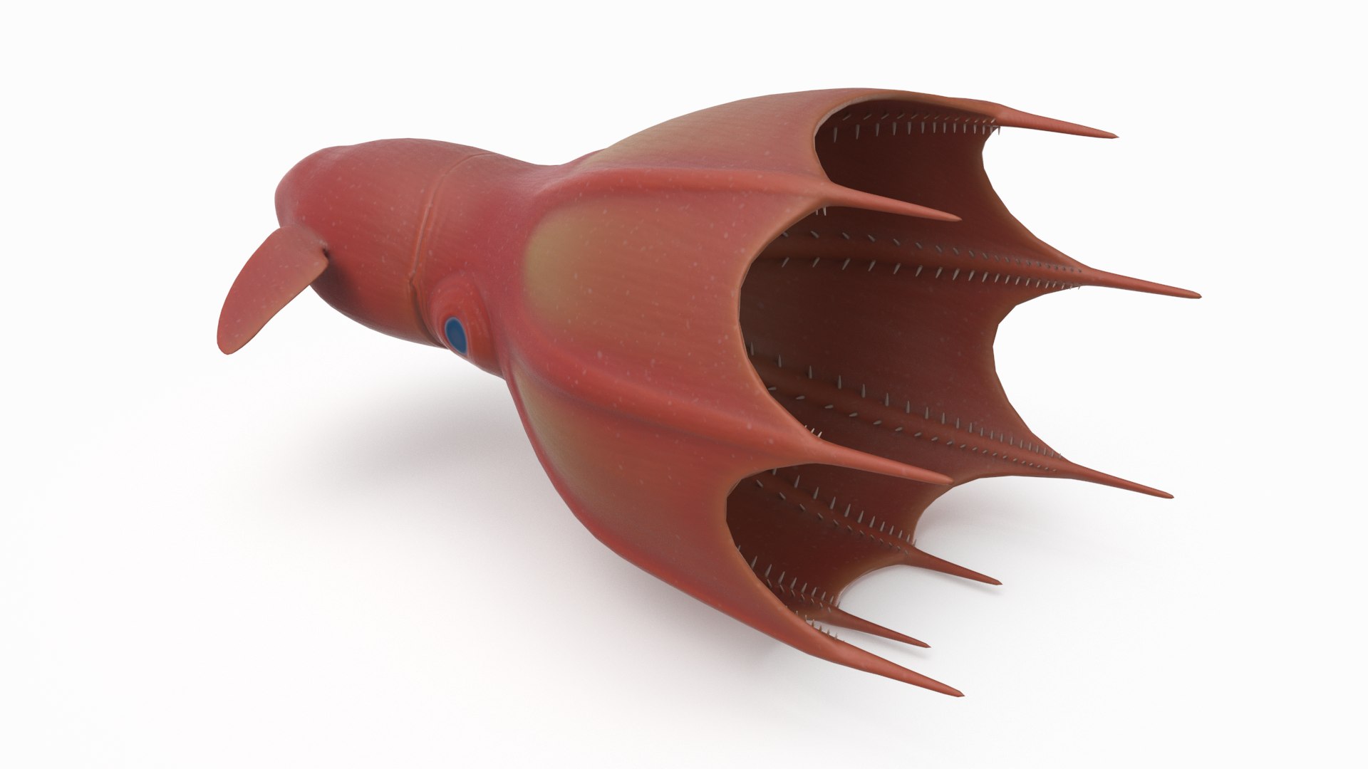 Vampire Squid 3D Model - TurboSquid 1463925