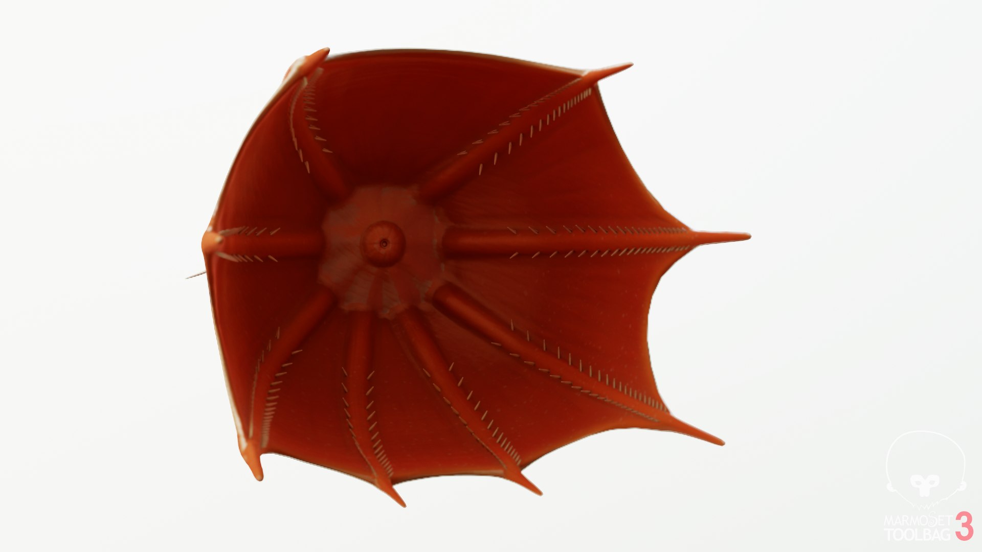 Vampire Squid 3D Model - TurboSquid 1463925