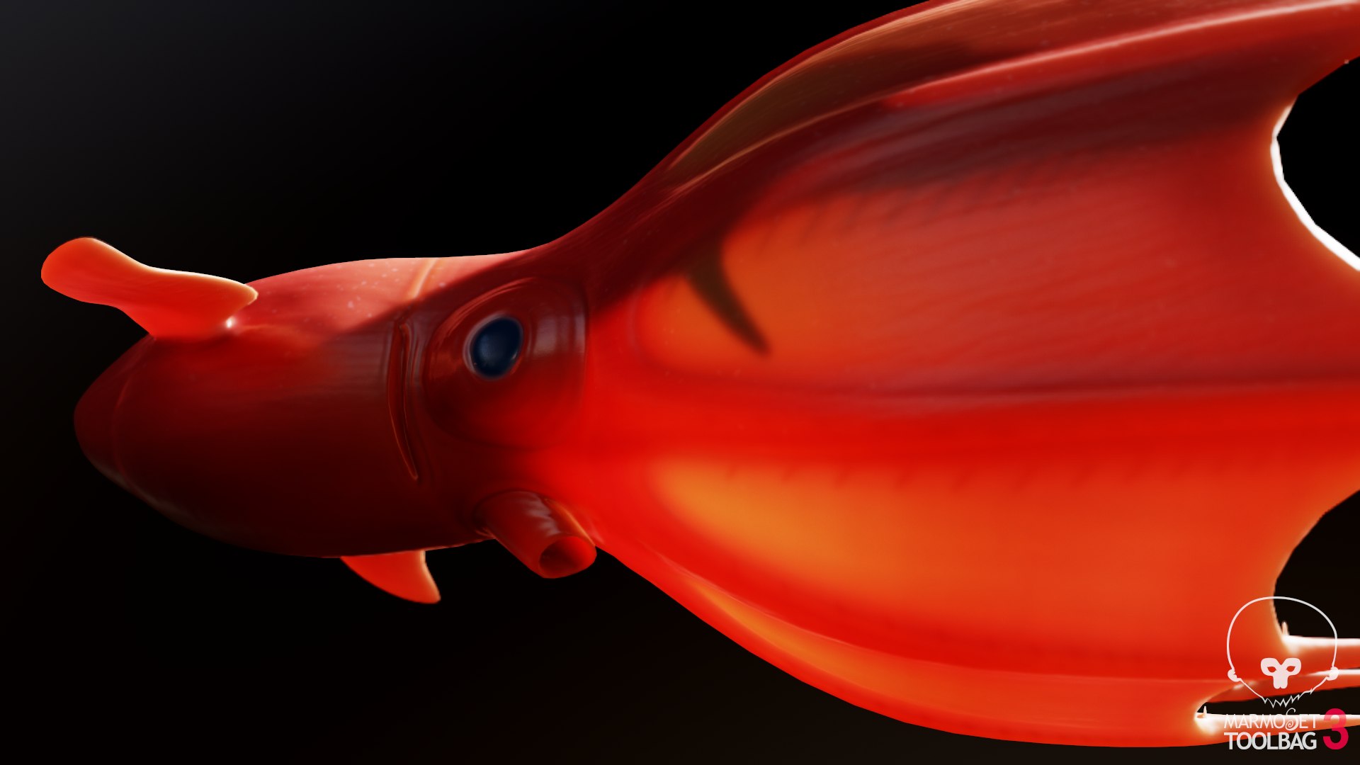 Vampire Squid 3D Model - TurboSquid 1463925