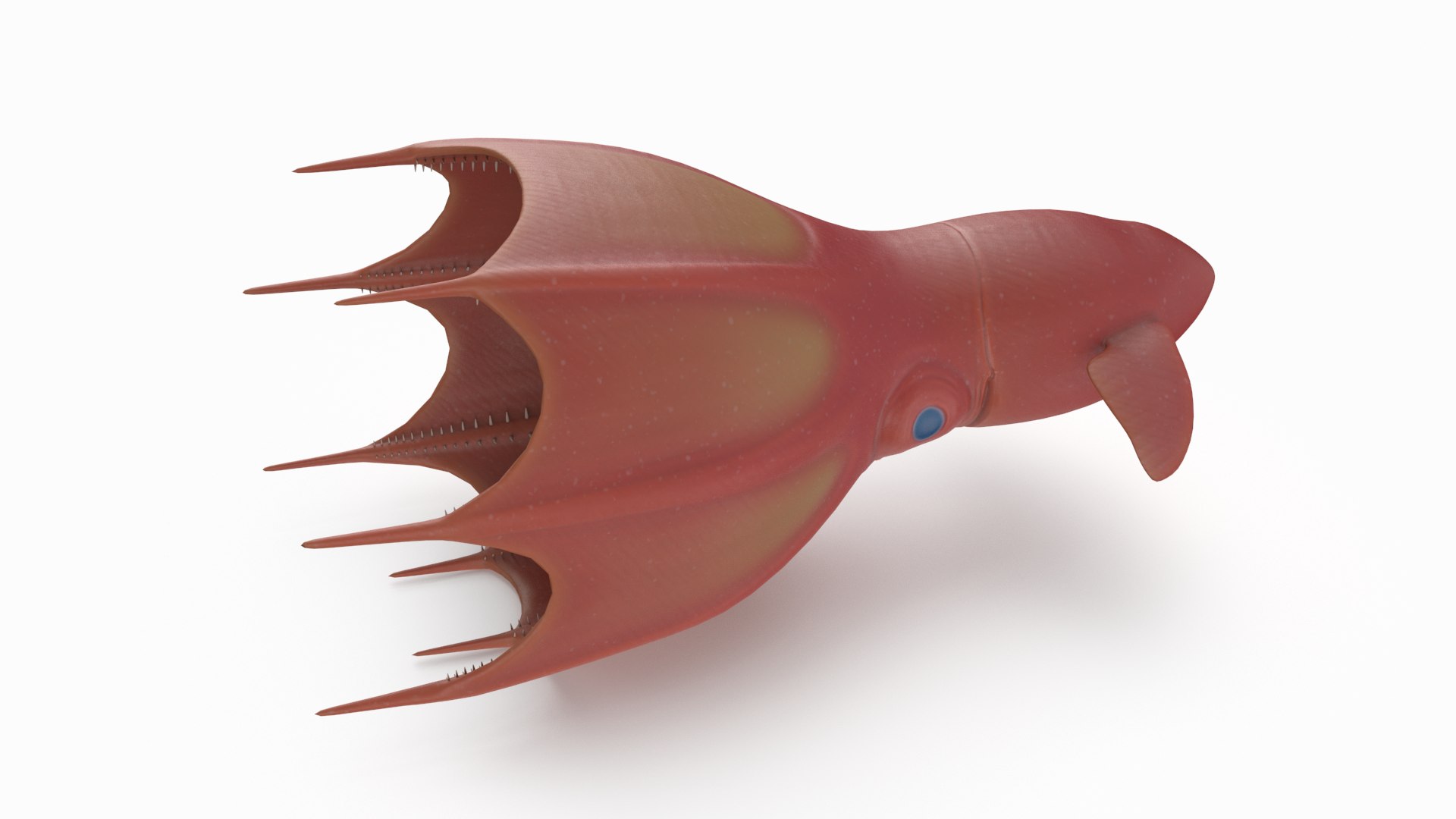 Vampire Squid 3D Model - TurboSquid 1463925