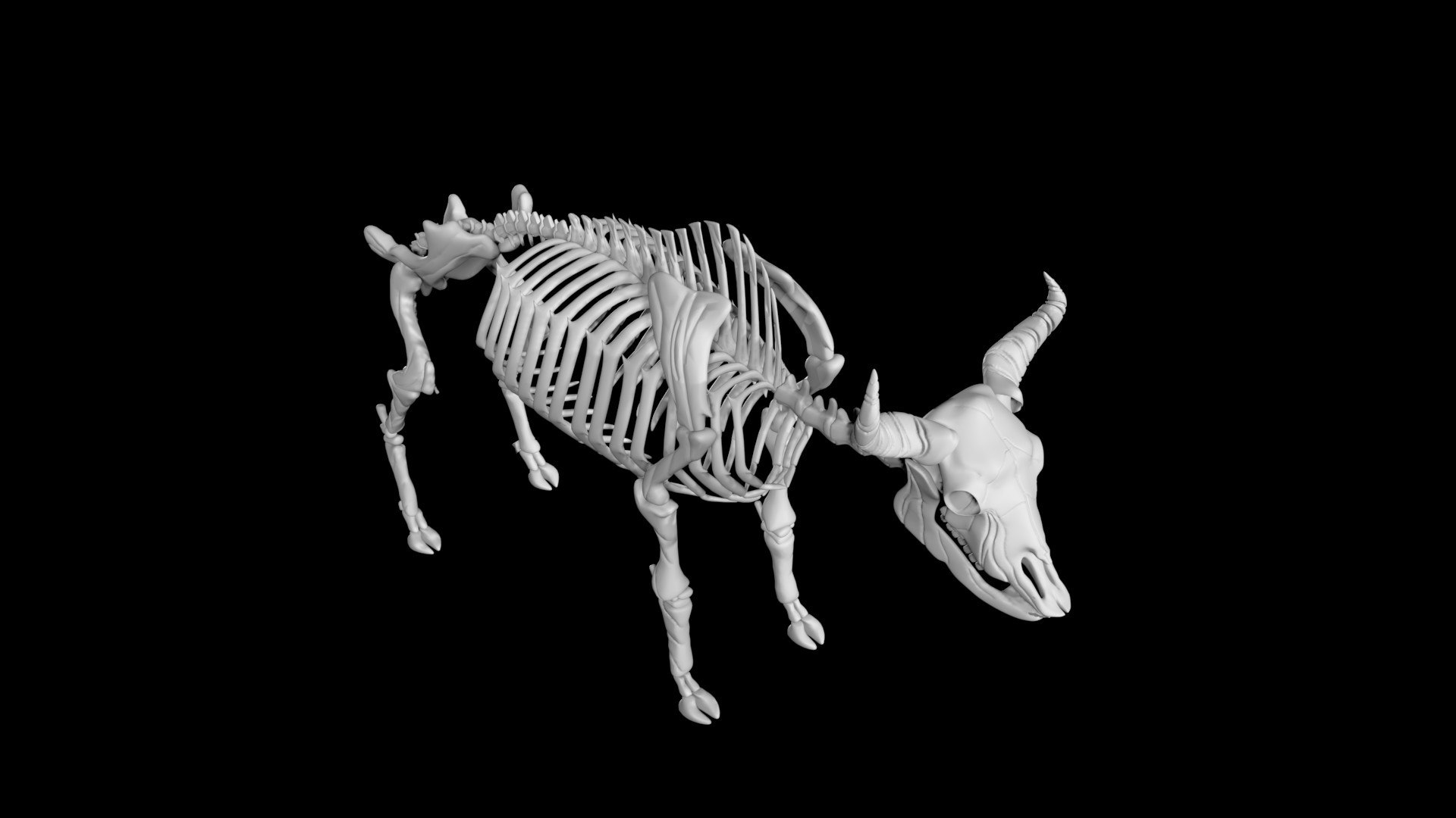 3D Bison skeleton model - TurboSquid 1887850