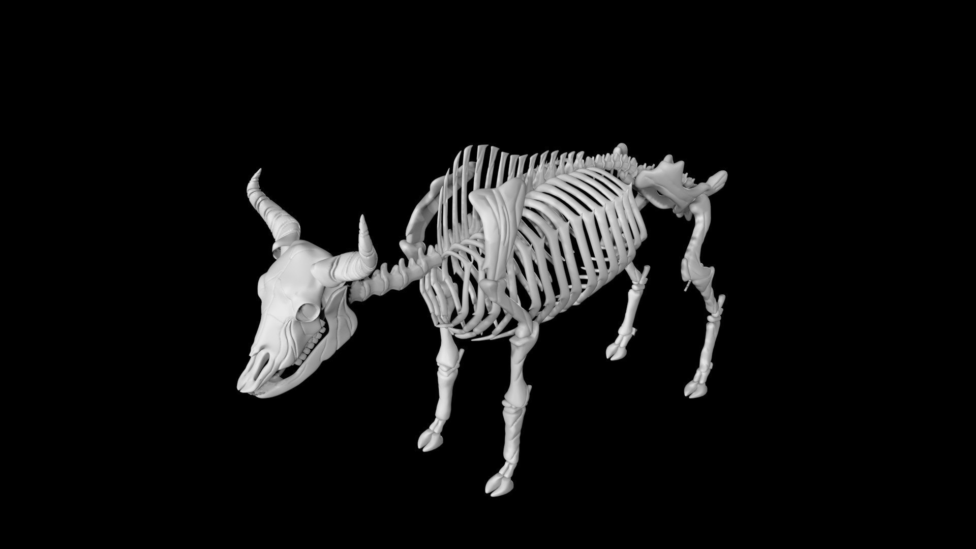 3D Bison skeleton model - TurboSquid 1887850