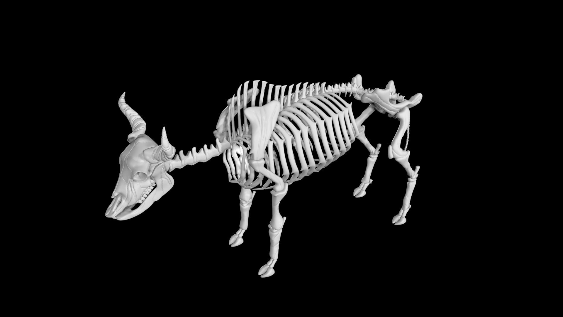 3D Bison skeleton model - TurboSquid 1887850